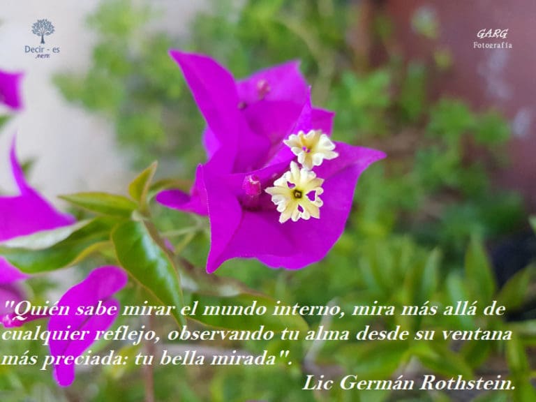 Lic Germán Rothstein – "Universo PsicoRosty"